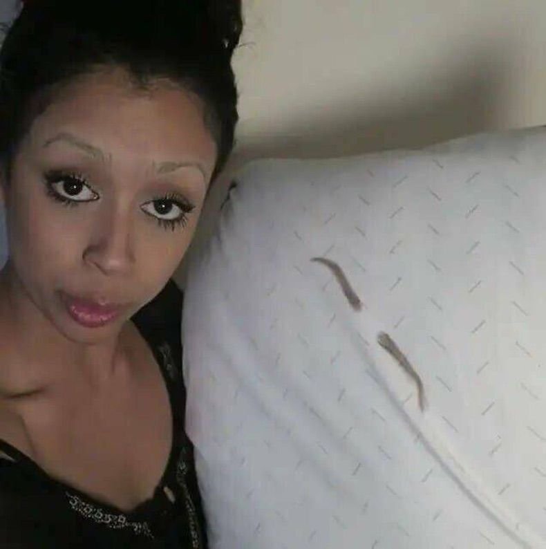 Adult Entertainment Blog 